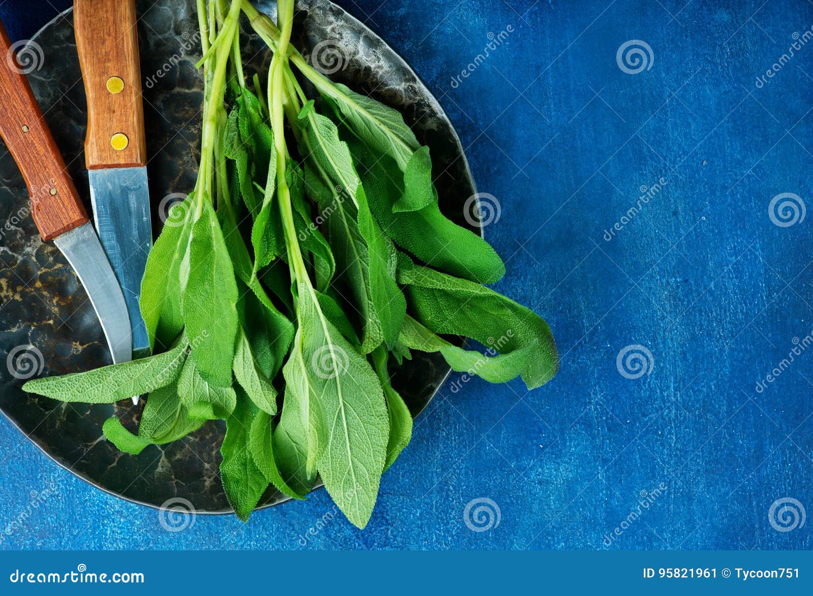 Fresh sage stock image. Image of bundle, medicine, ingredient - 95821961