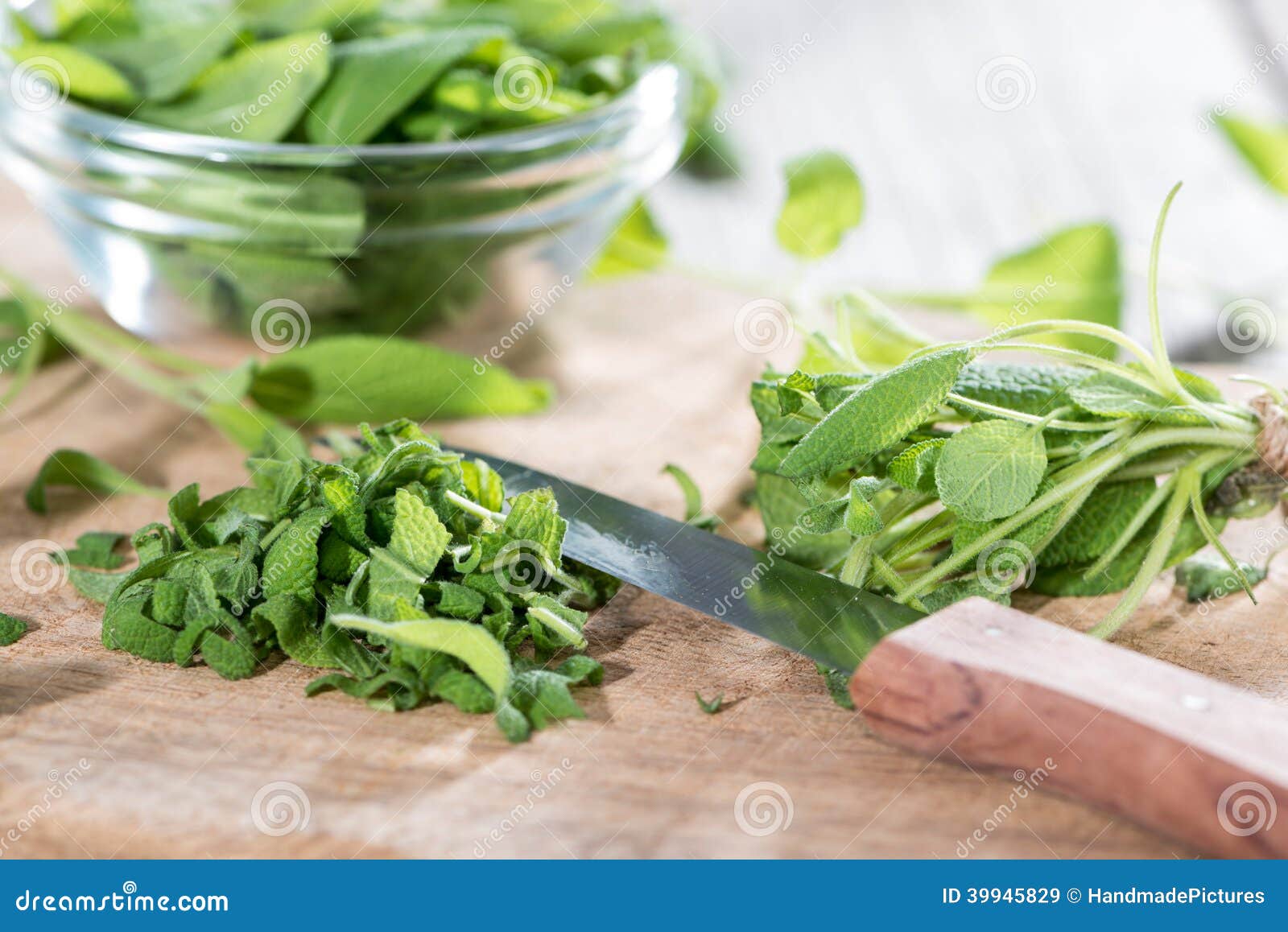 Fresh Sage stock image. Image of ingredient, officinalis - 39945829