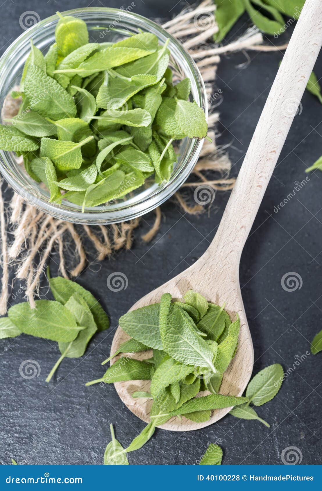 Fresh Sage stock photo. Image of herb, closeup, herbal - 40100228