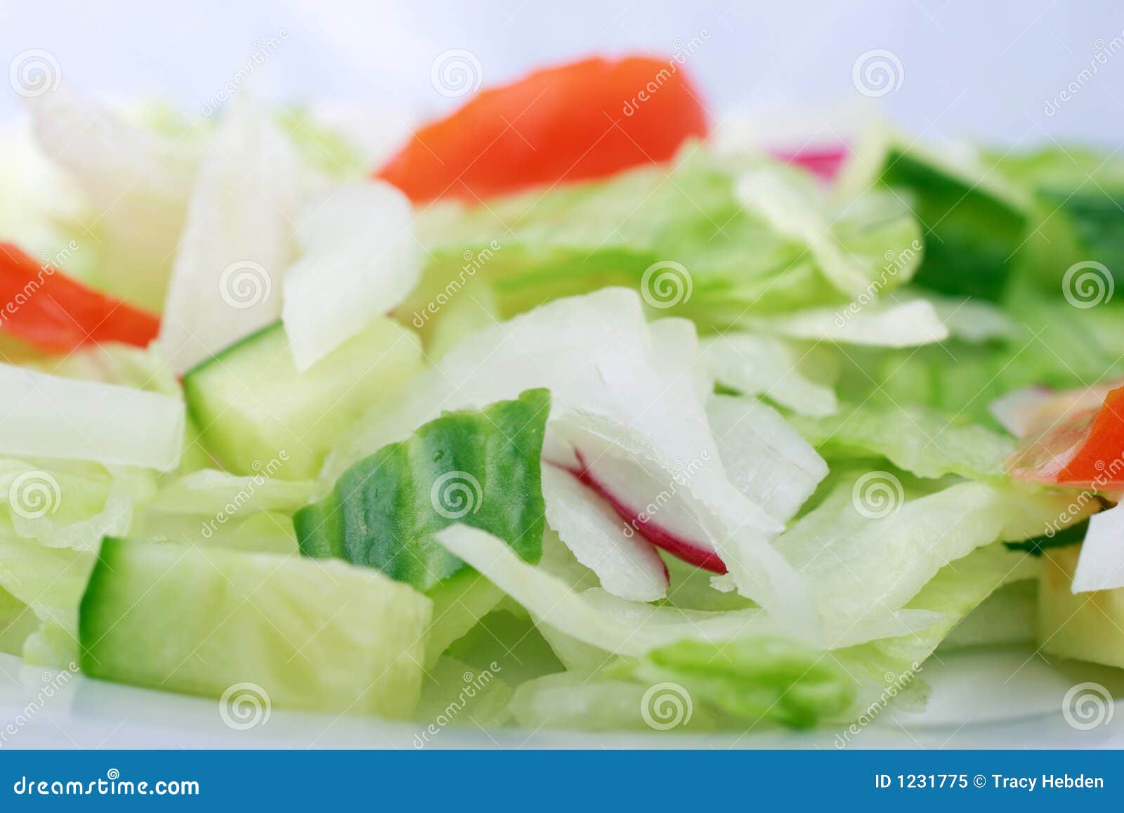 Fresh salad stock image. Image of organic, meal, food - 1231775