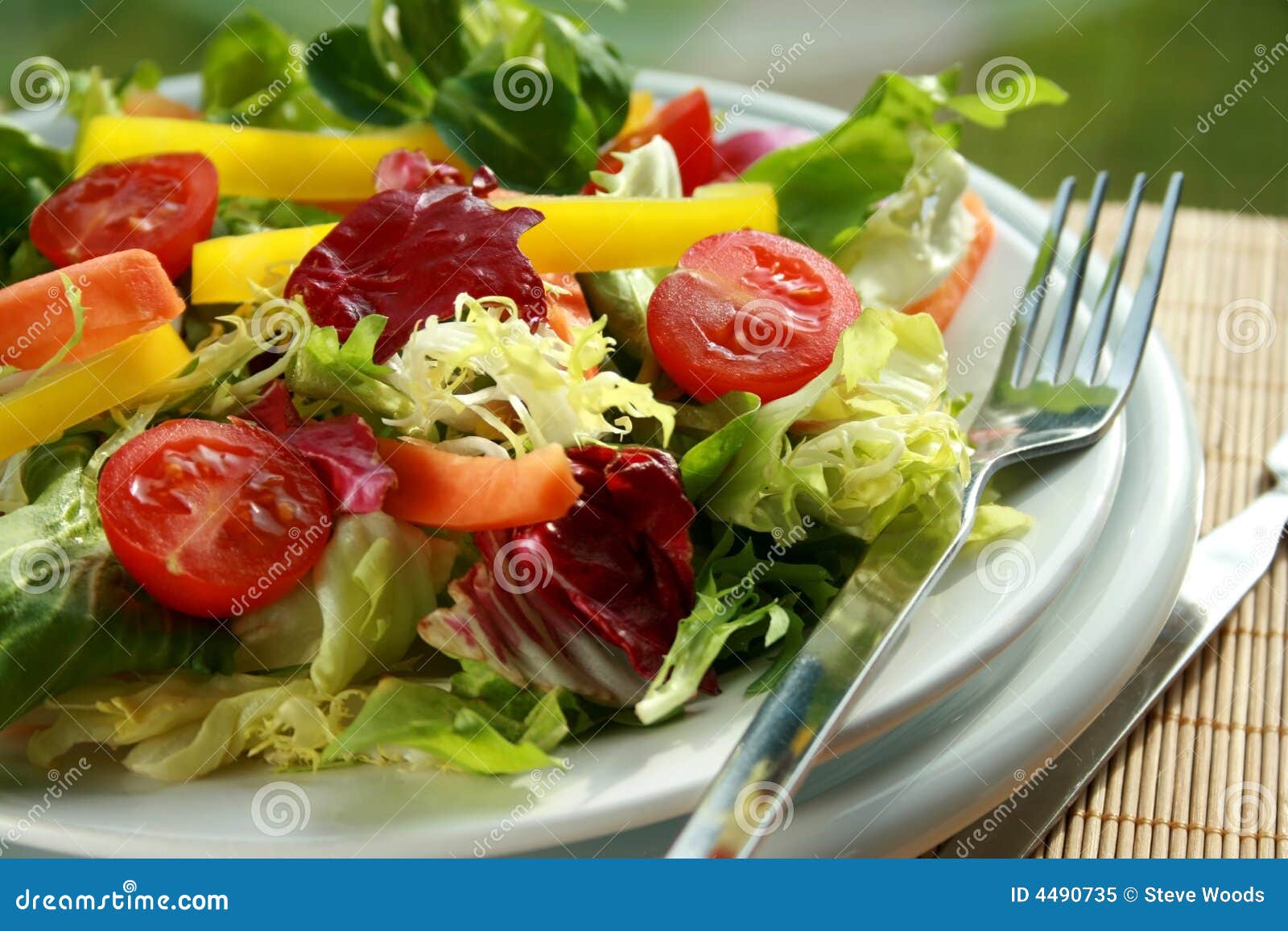 Fresh Salad stock image. Image of nutrition, garden, lettuce - 4490735
