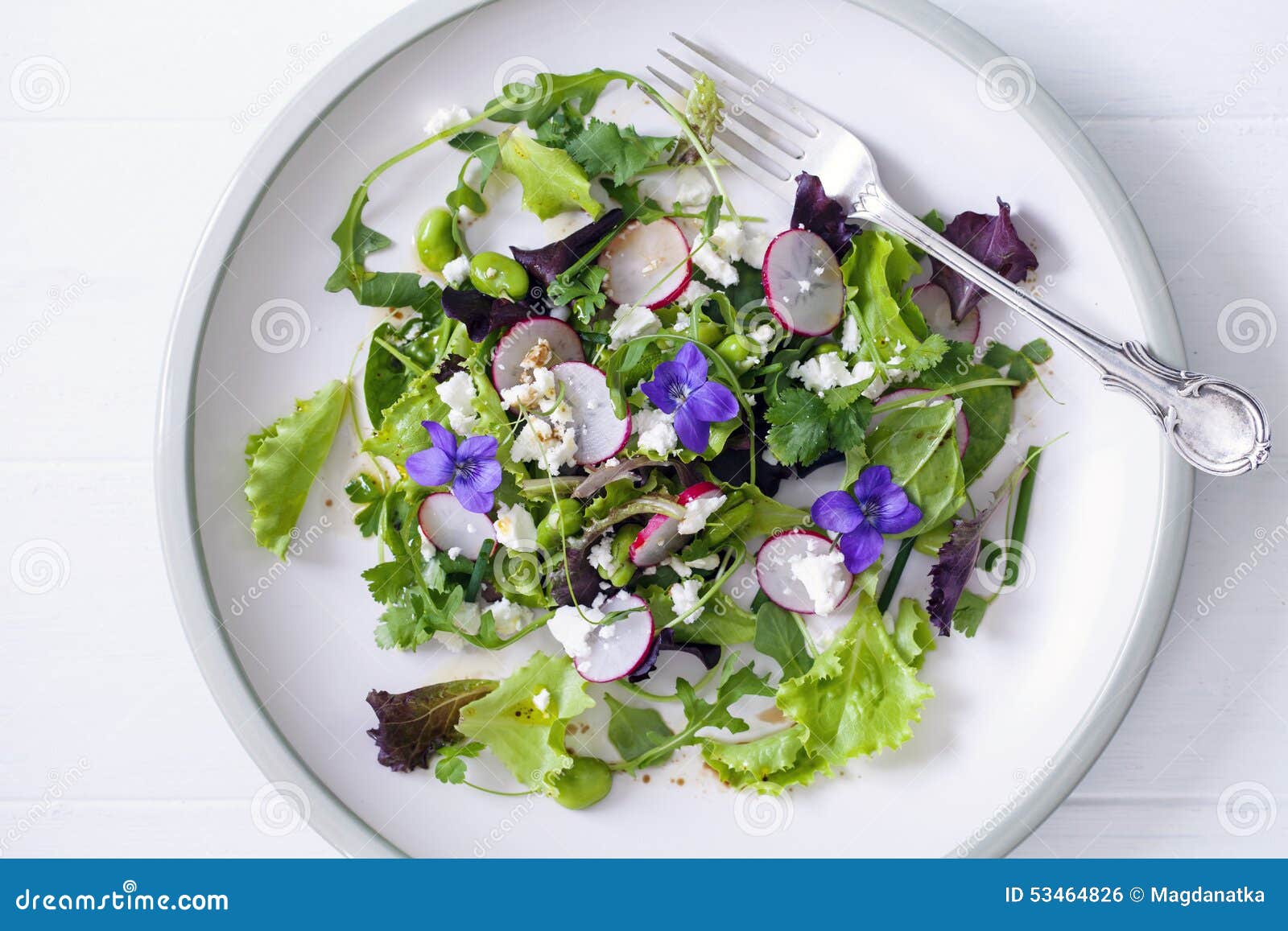 Fresh Salad with Broad Beans, Radish and Violets Stock Photo - Image of ...
