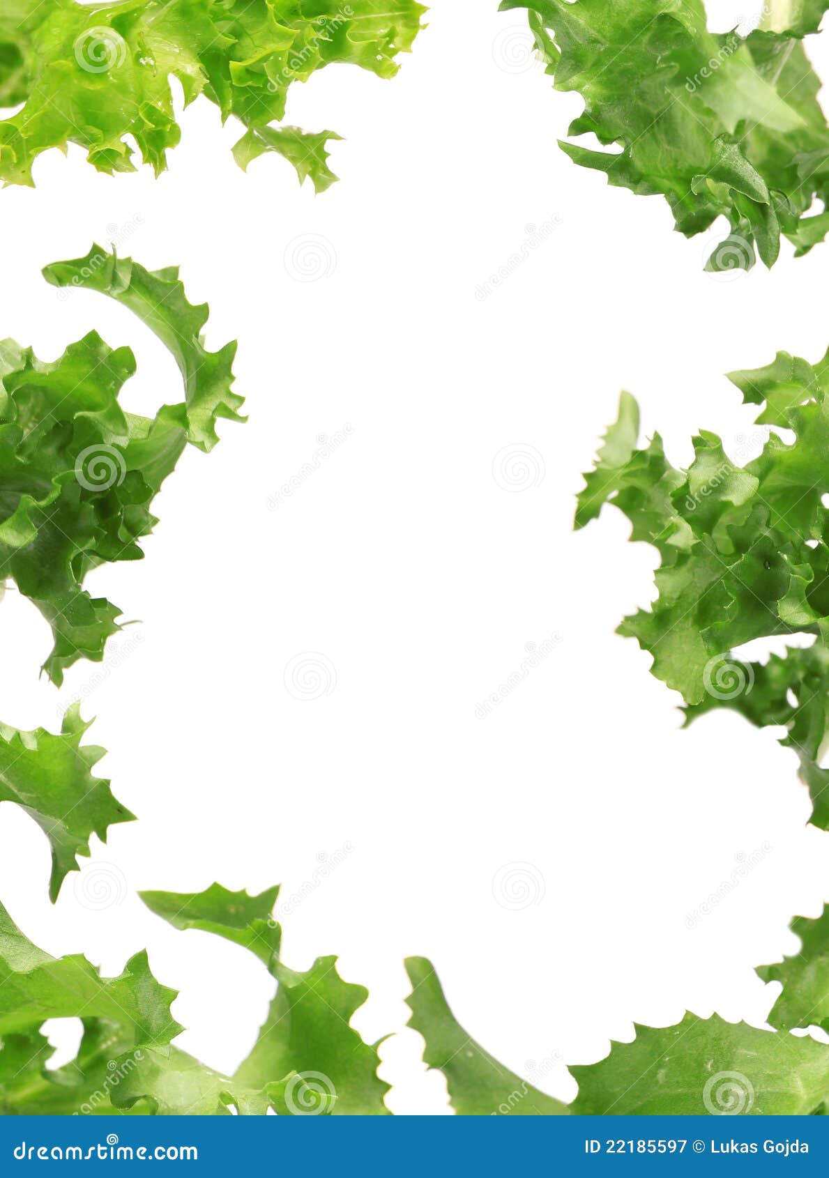 Fresh salad frame stock image. Image of health, closeup - 22185597