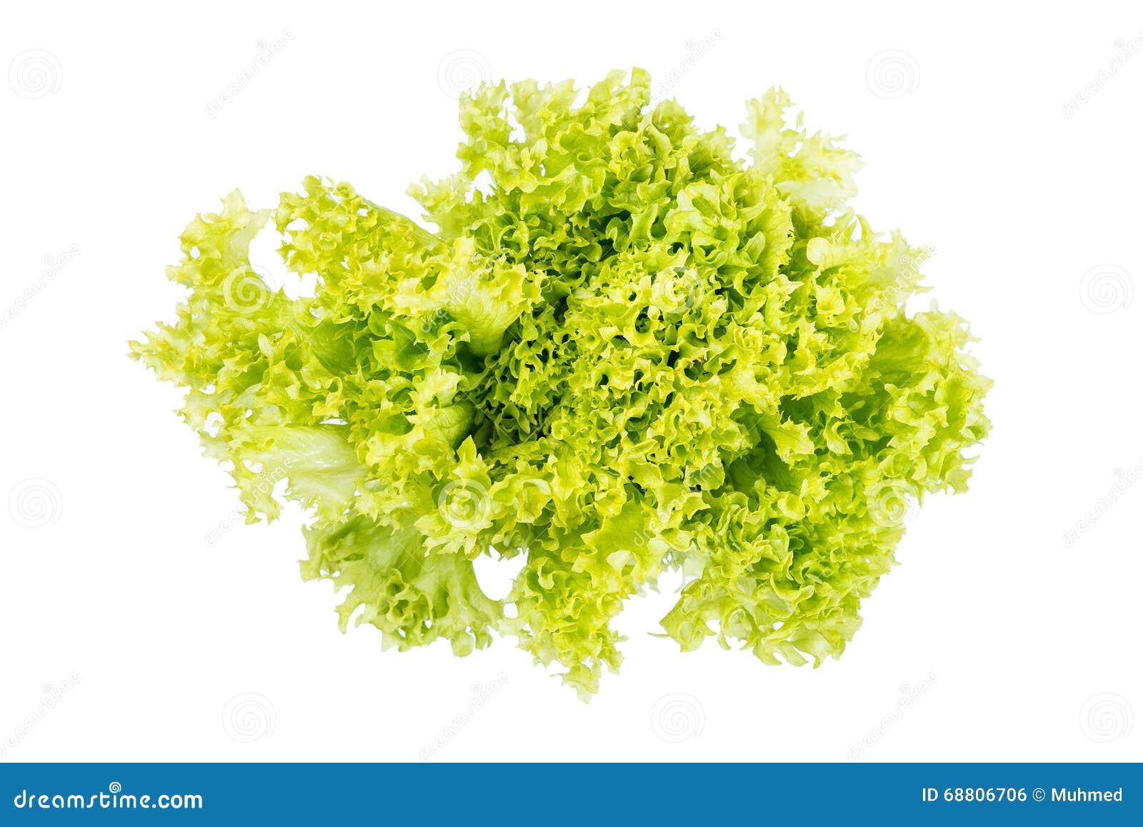 Fresh Salad Lettuce Close Up , Top View, Isolated on White Stock Photo ...