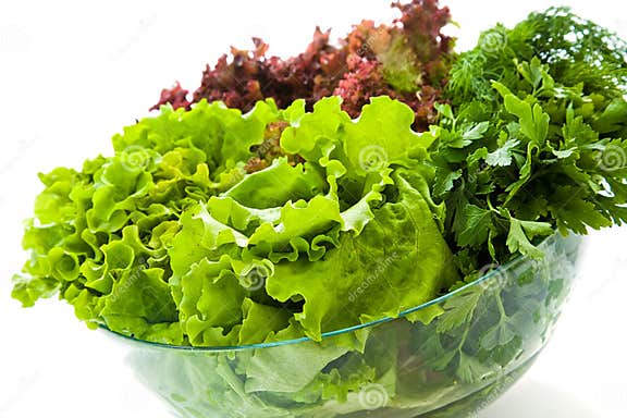Fresh salads stock photo. Image of dieting, fiber, leaf - 5510446