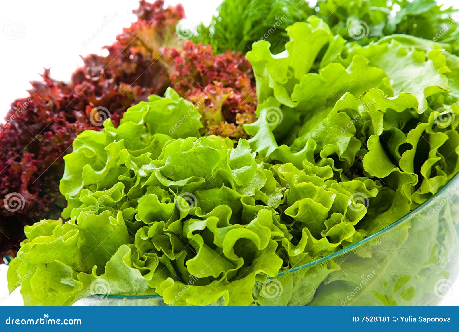 Fresh salads stock image. Image of healthy, bowl, heap - 7528181