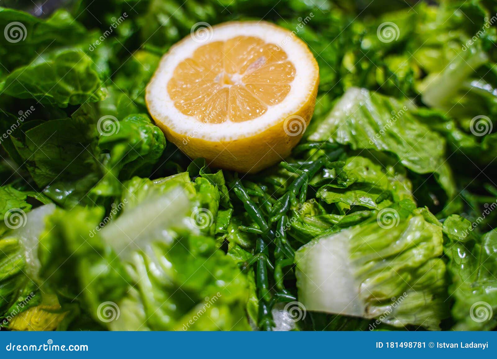 Fresh Salat Bowl with Karkalla Stock Image - Image of green, food ...