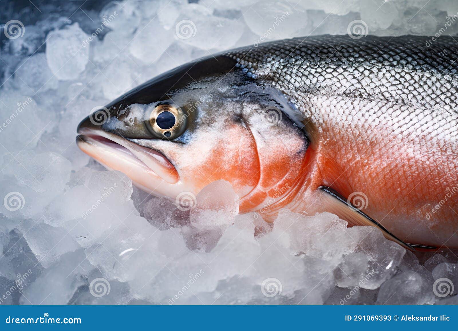 Fresh Salmon Fish on Ice. Generative Ai Stock Image - Image of marin ...