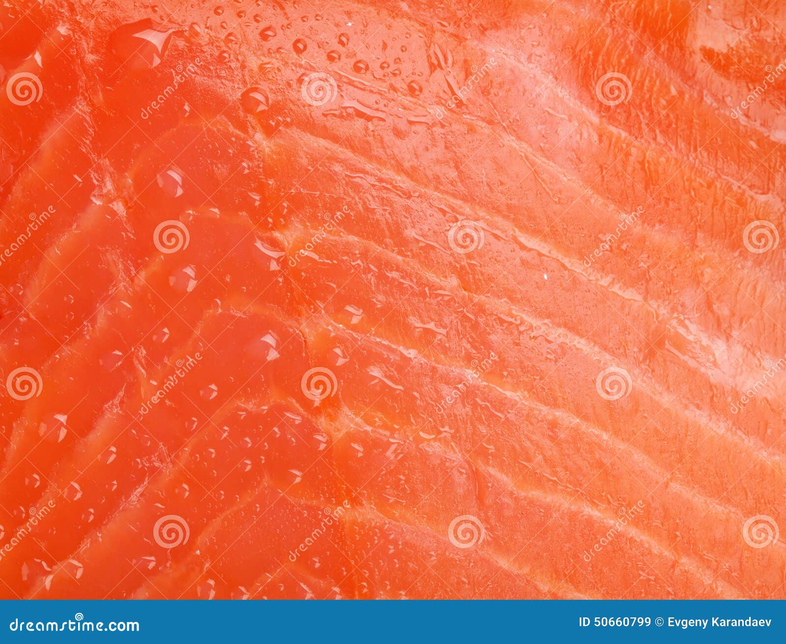 Fish Texture Background Stock Photo | CartoonDealer.com #59214024