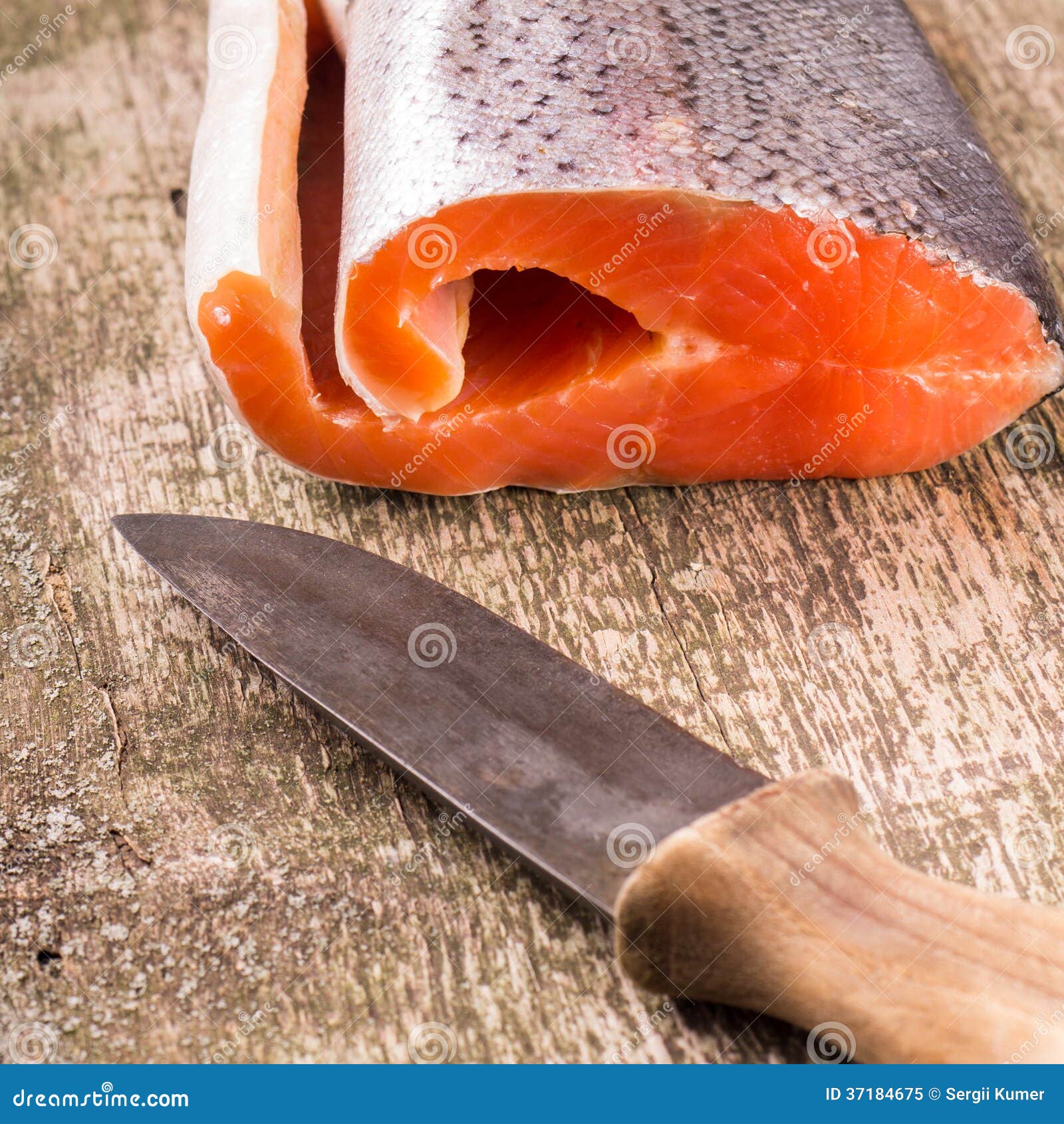 7,516 Old Salmon Stock Photos - Free & Royalty-Free Stock Photos from ...