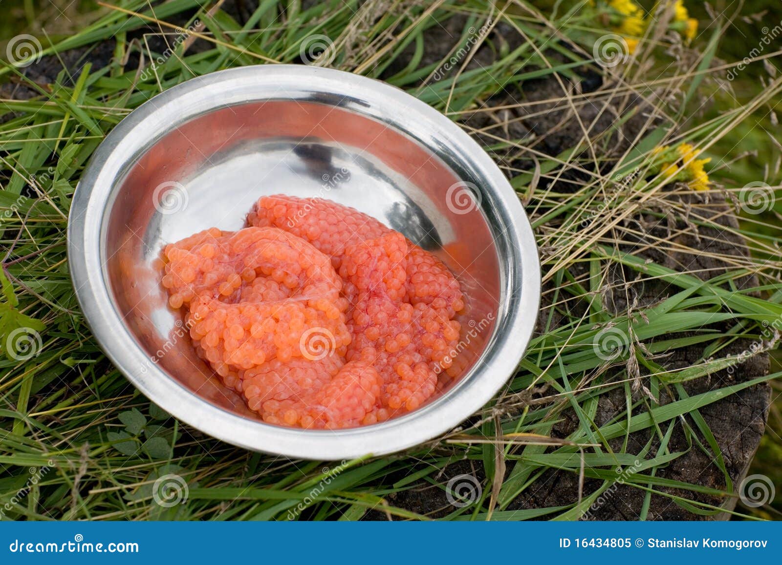 Fresh salmon red caviar stock image. Image of preparation - 16434805