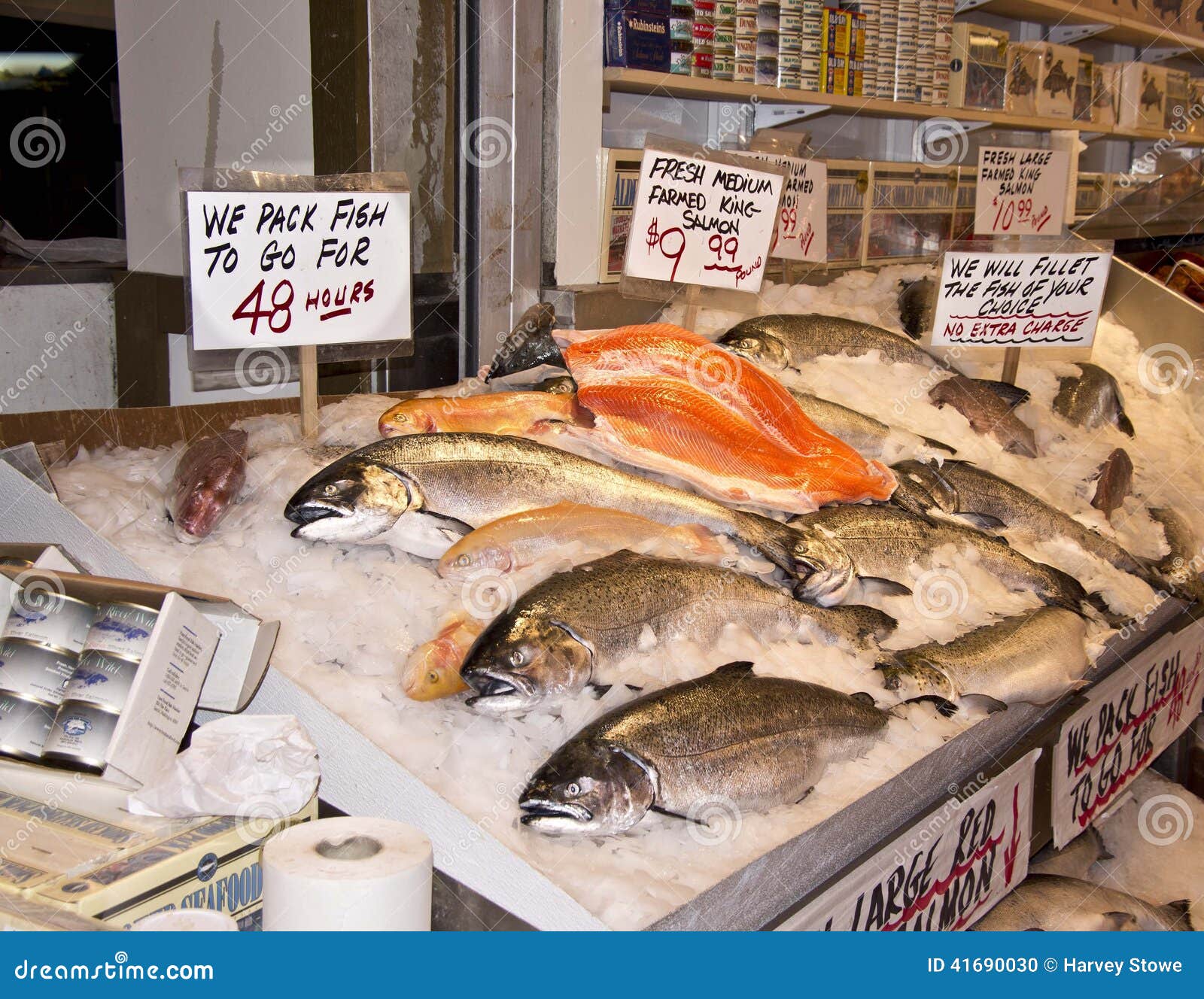 Fresh Salmon editorial image. Image of freshwater, natural - 41690030