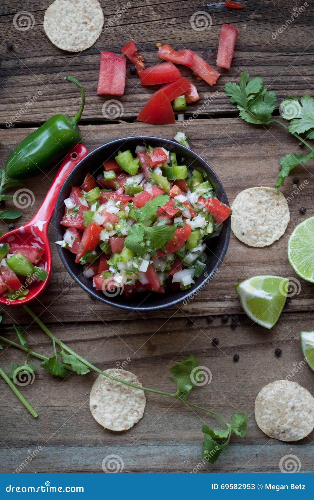 Fresh Salsa stock image. Image of appetizer, tomato, cilantro - 69582953