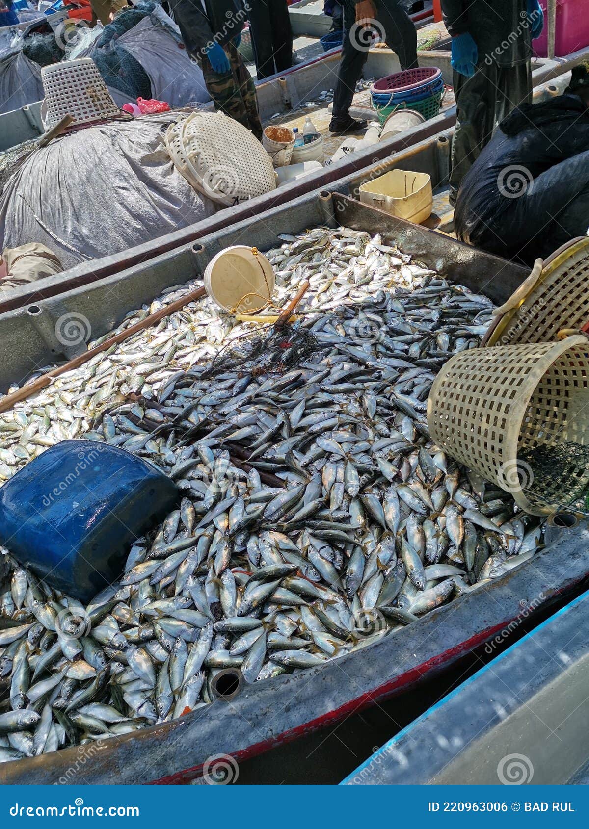 Fresh from Salt Water editorial photo. Image of water - 220963006