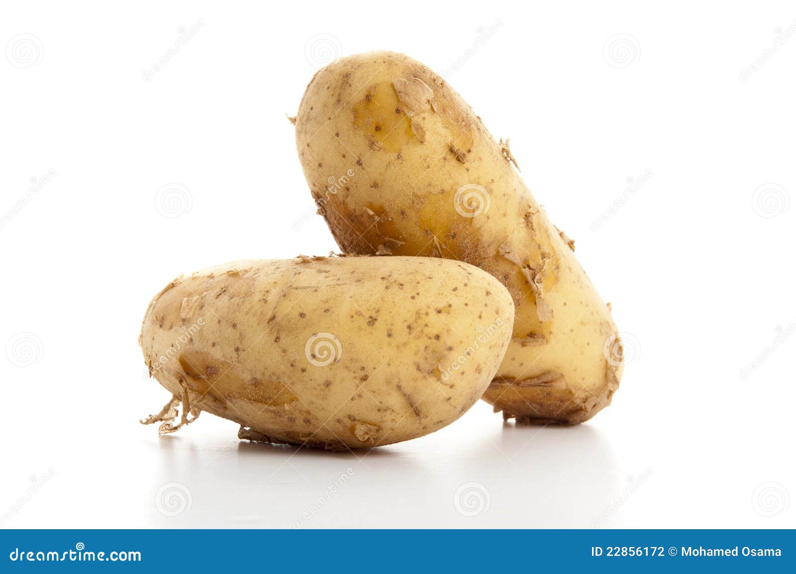 Fresh Sand Soil Potatoes stock photo. Image of harvest - 22856172