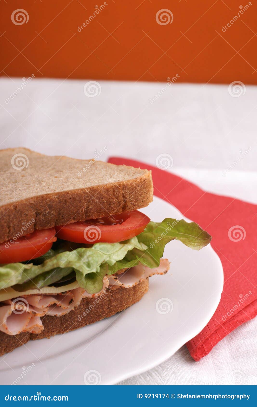 Fresh sandwich stock photo. Image of crust, fresh, sliced - 9219174