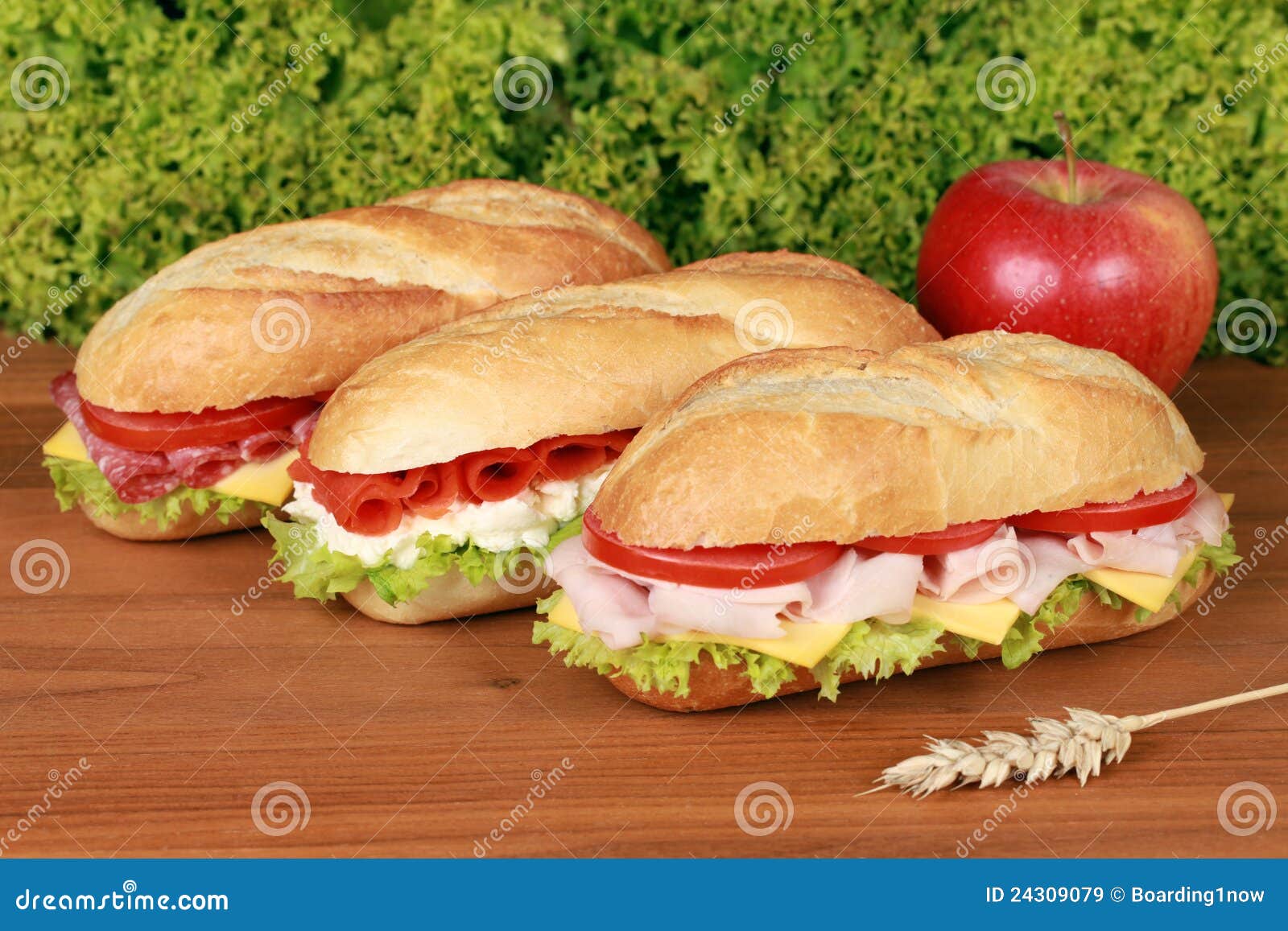 Fresh Sandwiches stock image. Image of table, turkey - 24309079