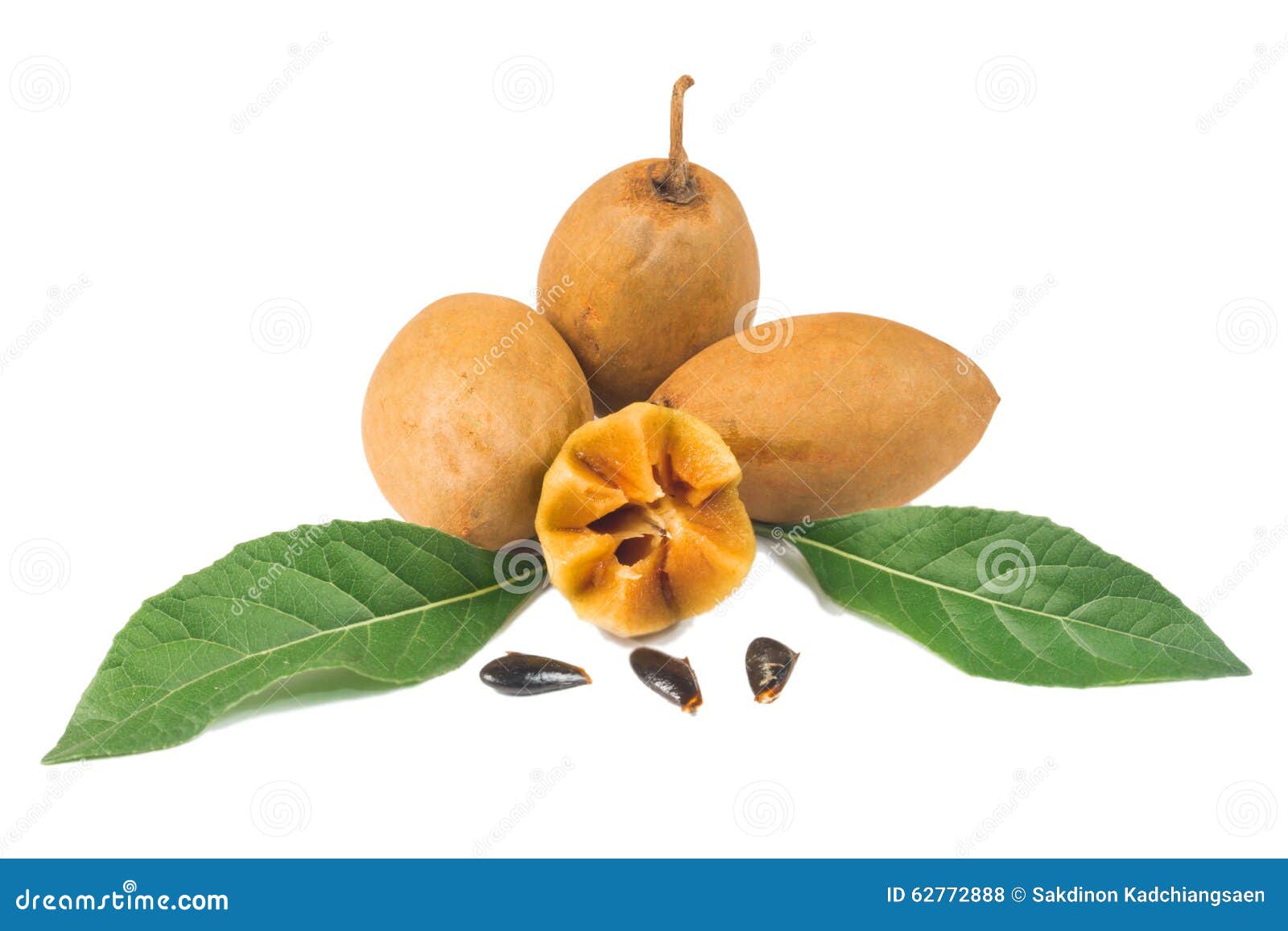 Fresh sapodilla fruits stock photo. Image of healthy - 62772888