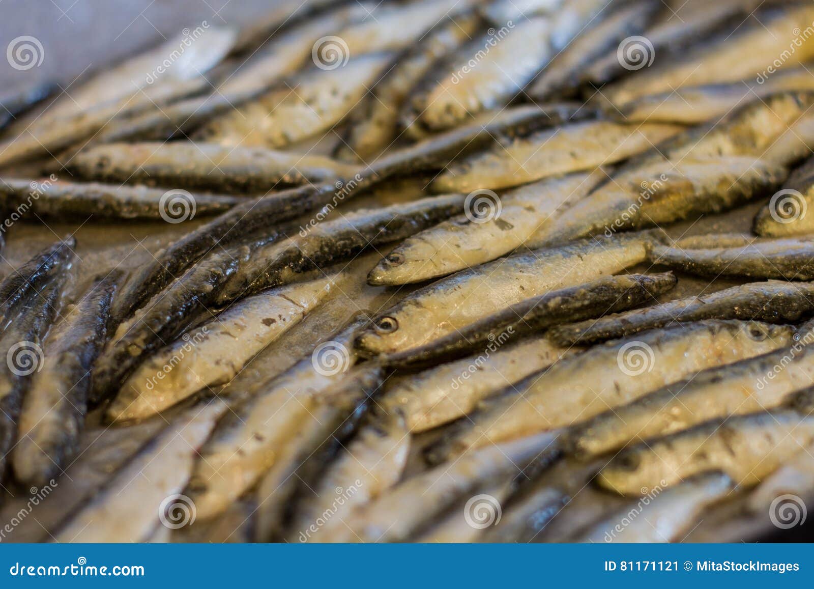 Fresh sardine seafood stock image. Image of cuisine, healthy - 81171121