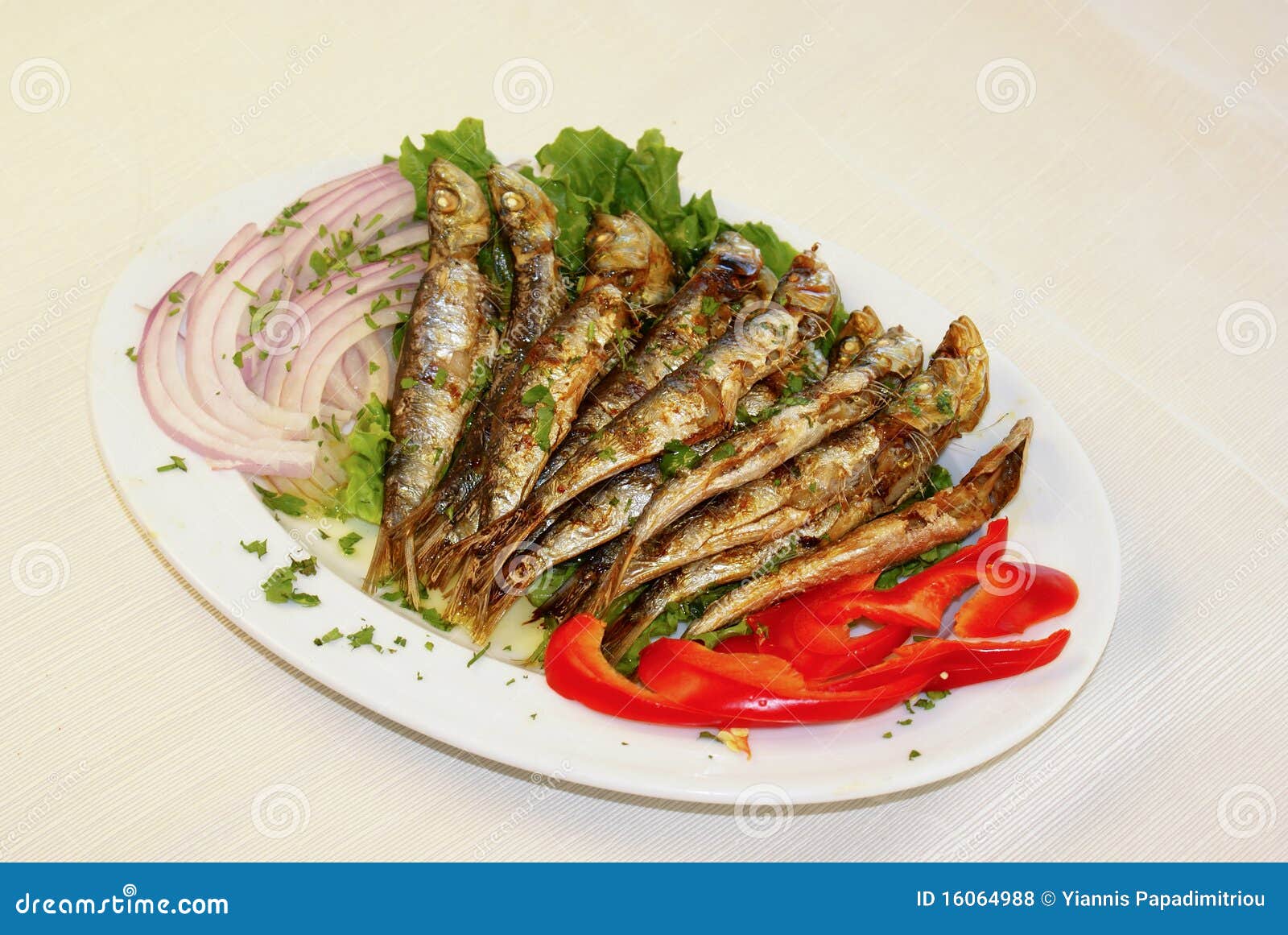 Fresh sardines stock photo. Image of nutrition, animal - 16064988