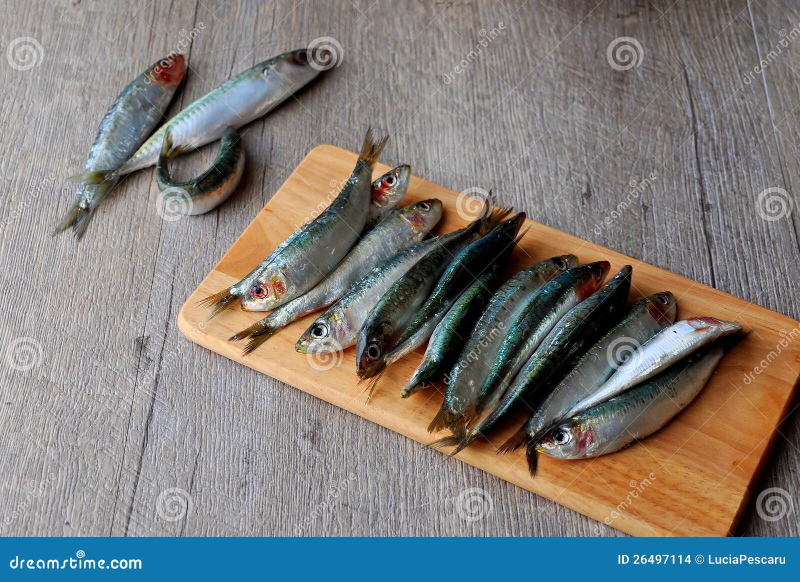 Fresh Sardines on Wooden Board Stock Photo - Image of herring, fresh ...