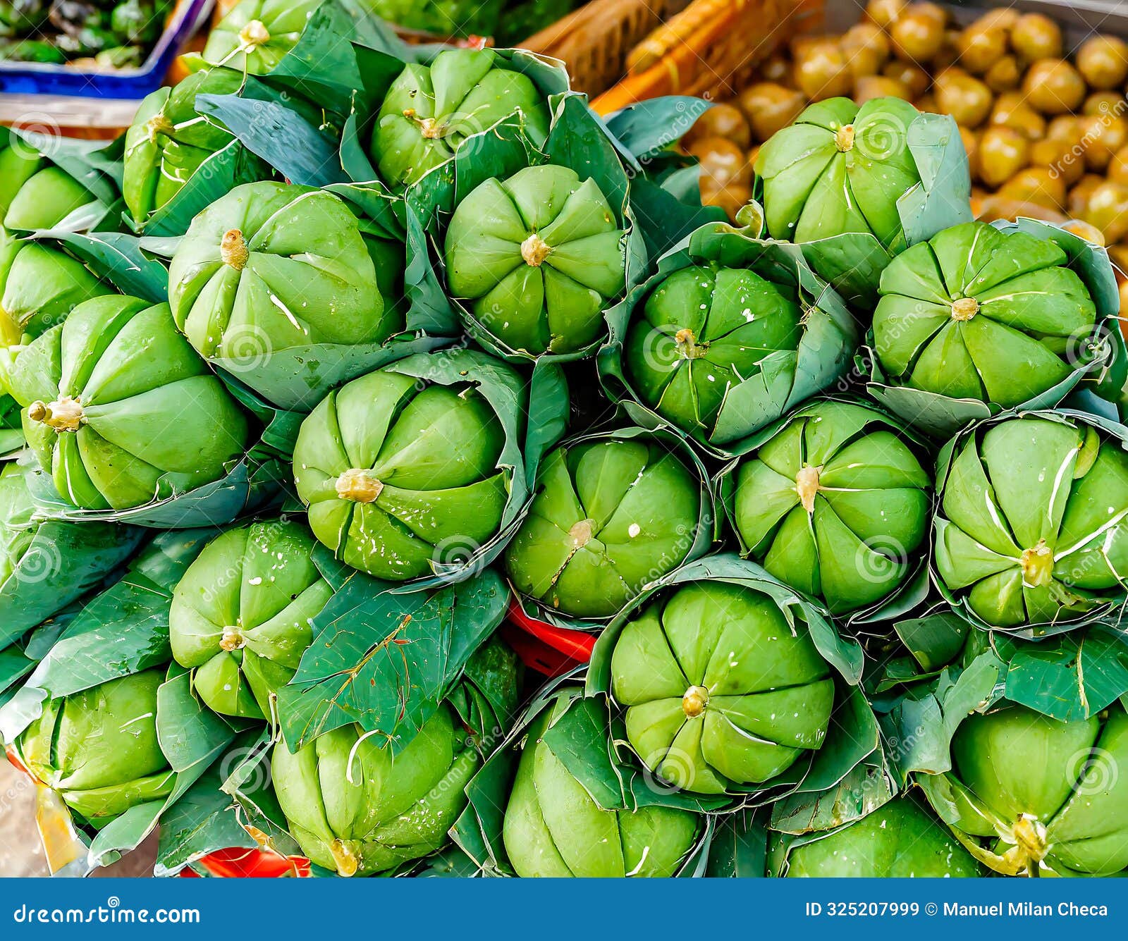 Fresh Sayote Cactus at Traditional Market Stock Image - Image of fresh ...