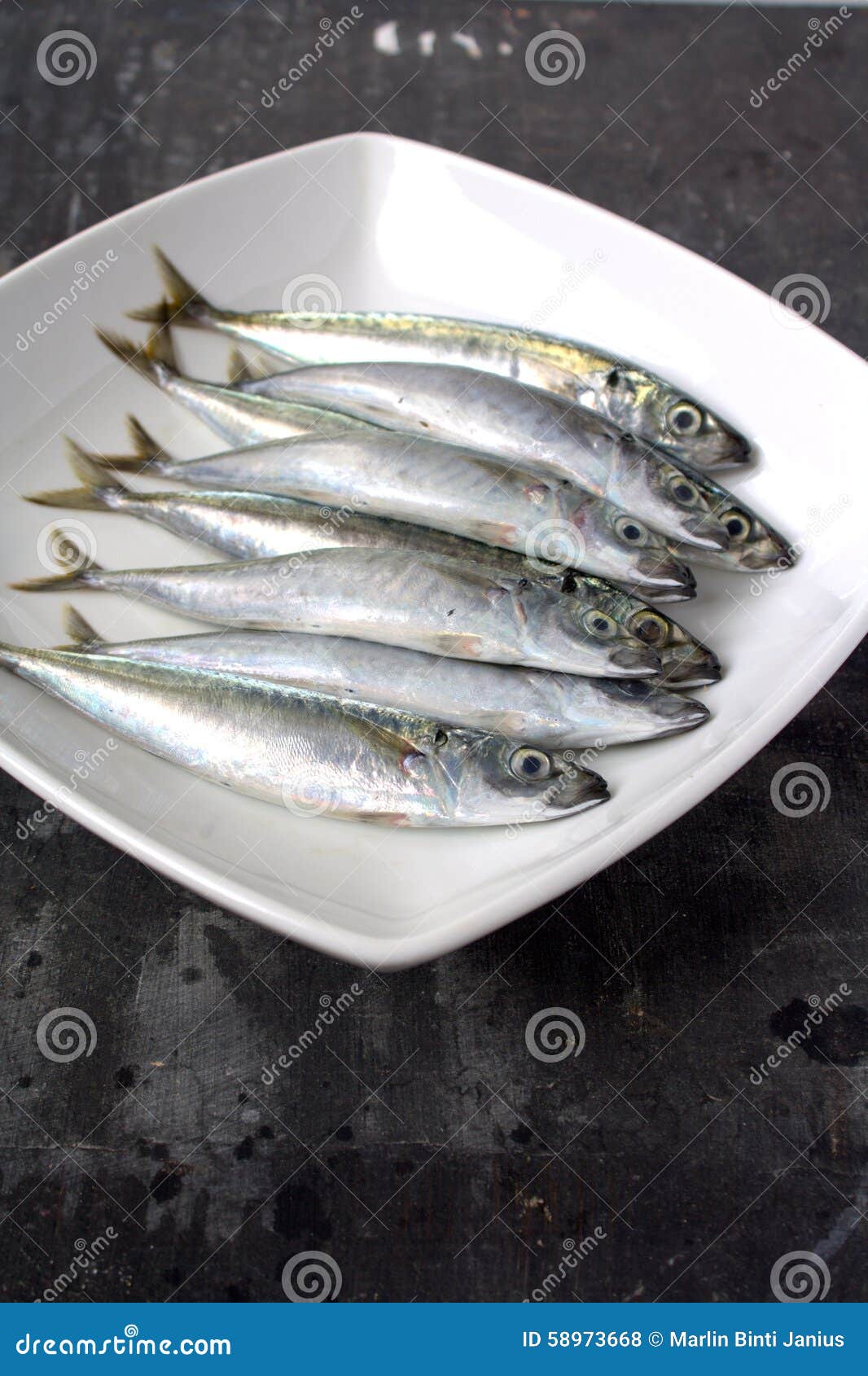 Fresh Scad stock photo. Image of fresh, asian, scad, protein - 58973668