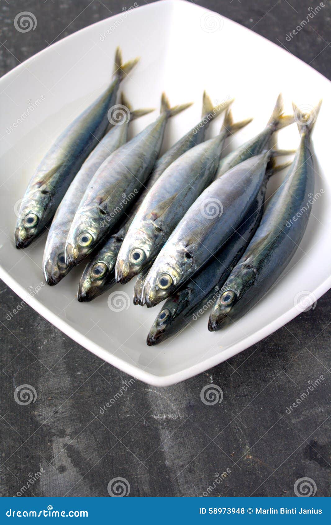 Fresh Scad stock photo. Image of selayang, mackerel, nutritious - 58973948