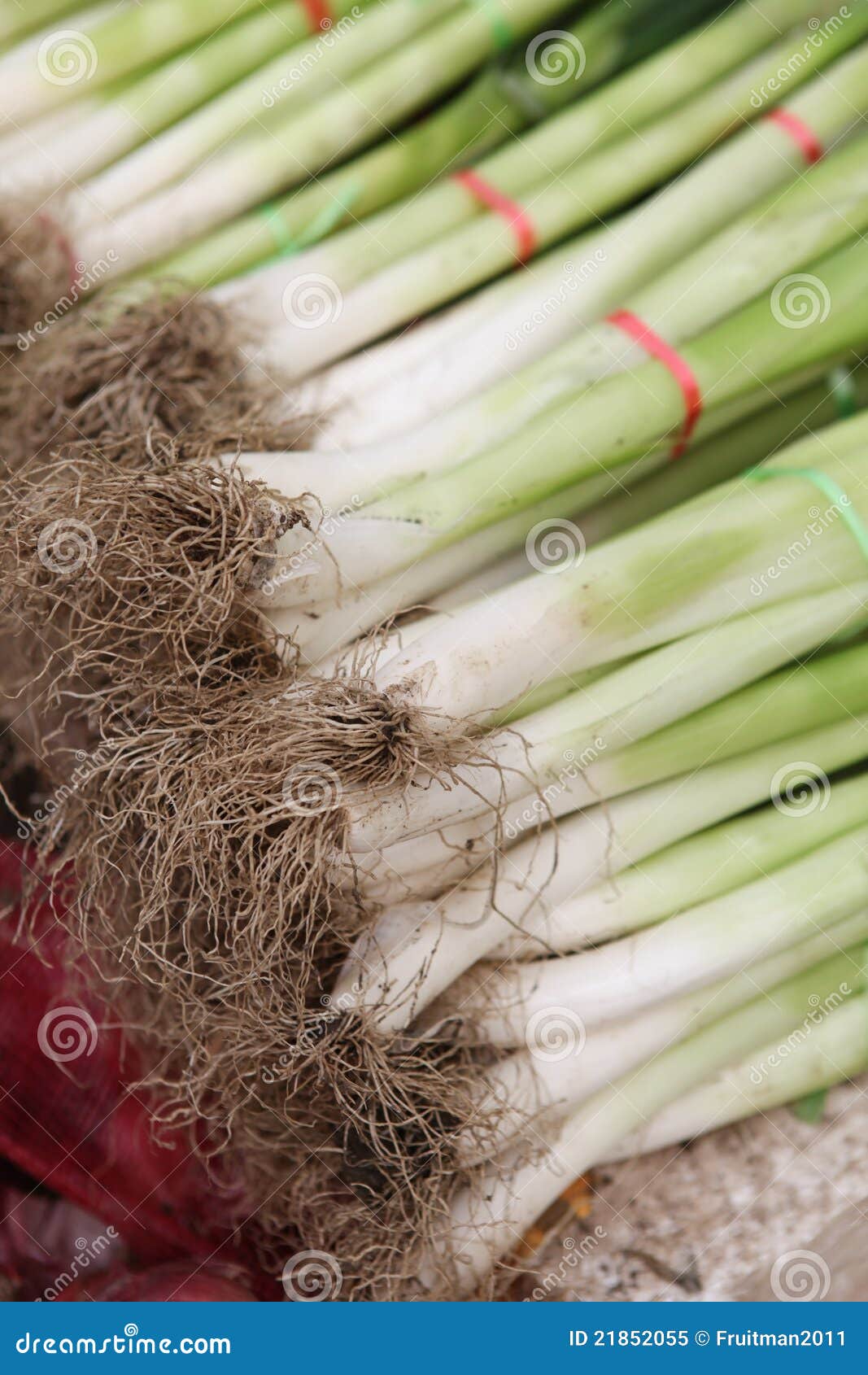 Fresh Scallions stock image. Image of health, scallion - 21852055