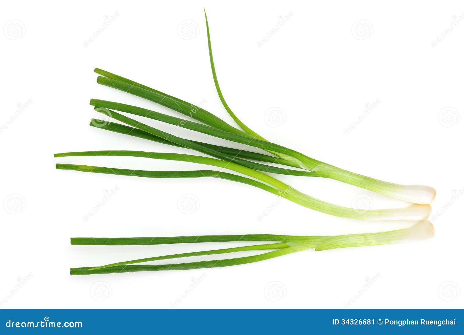 Fresh Scallions stock image. Image of healthy, space - 34326681