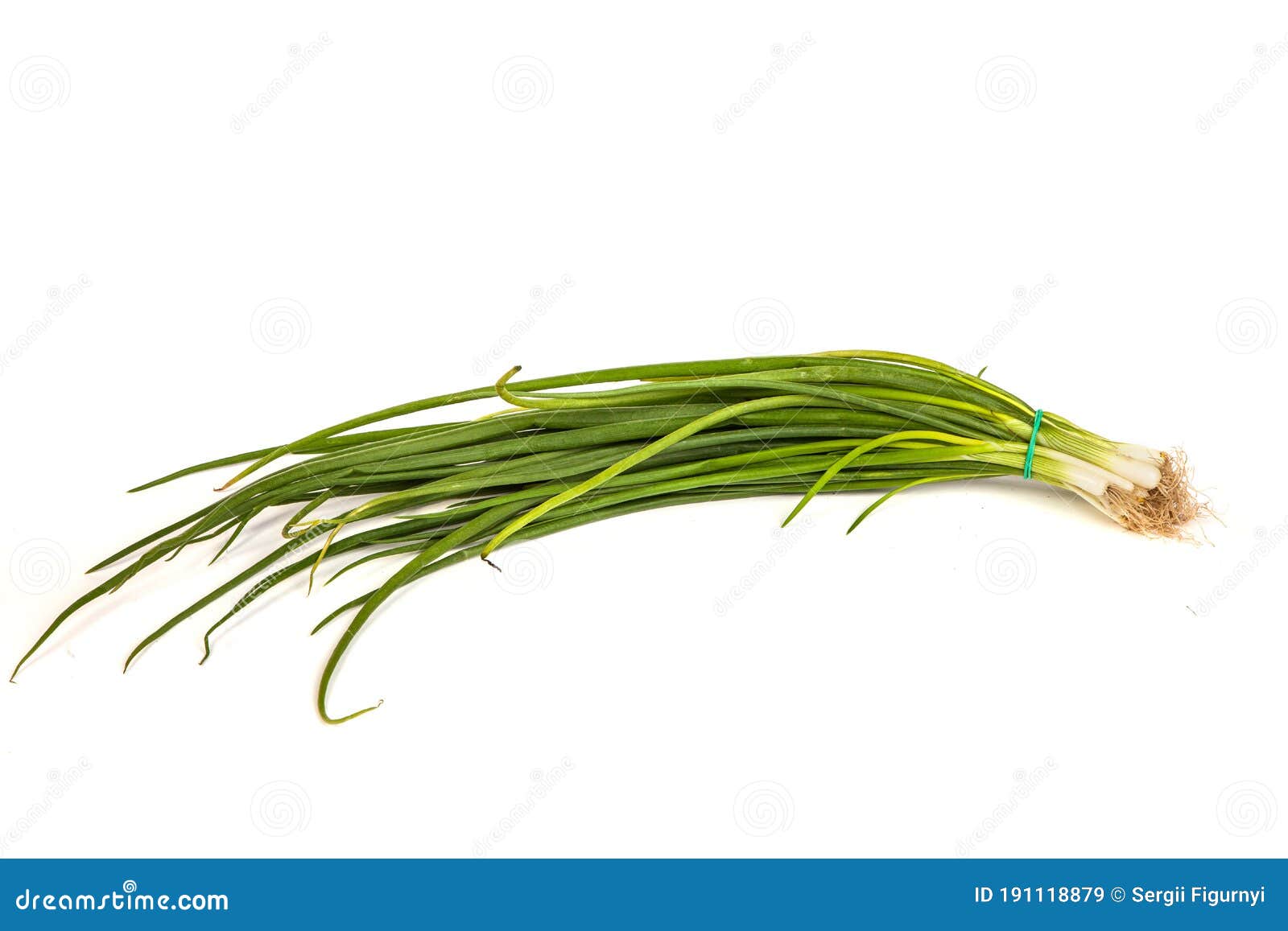 Fresh Scallions Isolated on White Stock Image - Image of macro, shallot ...