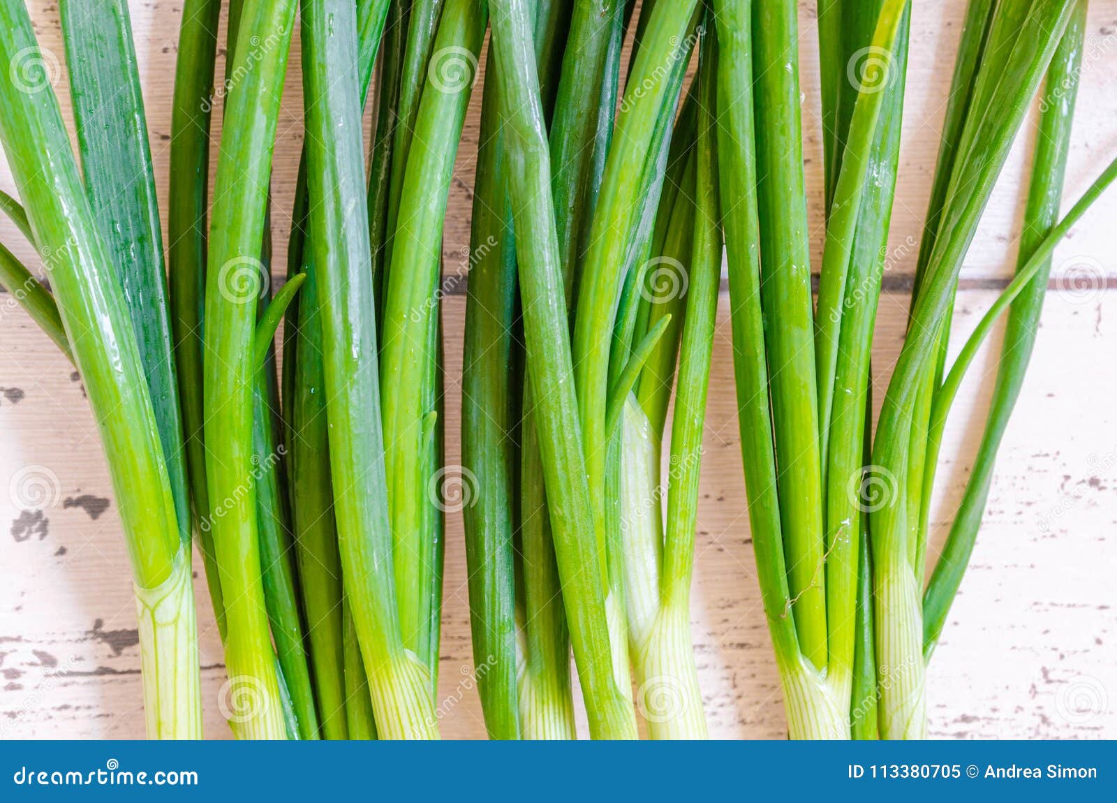 Fresh Scallions stock image. Image of dark, healthy - 113380705