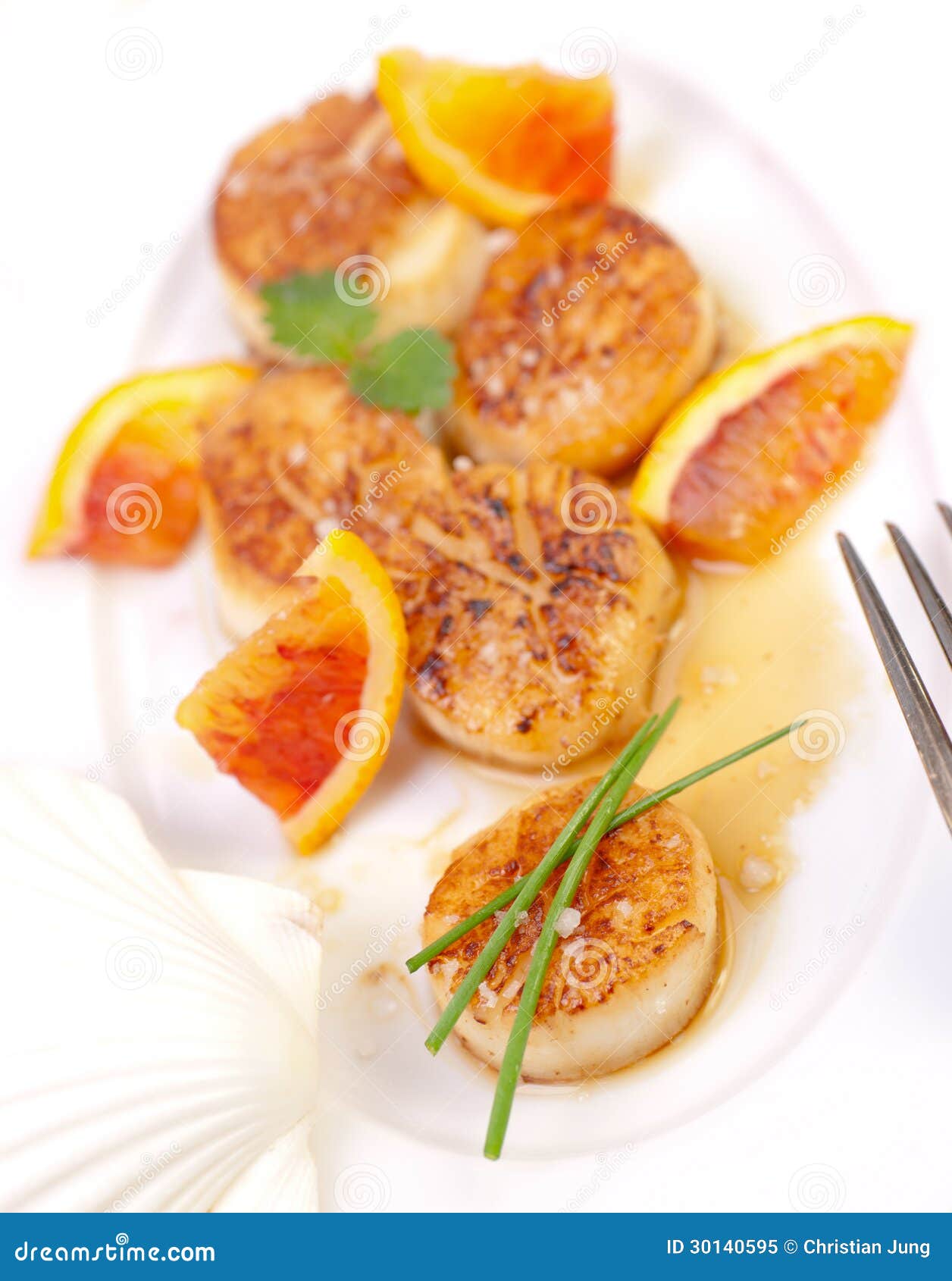 Fresh scallop stock image. Image of fixings, closeup - 30140595