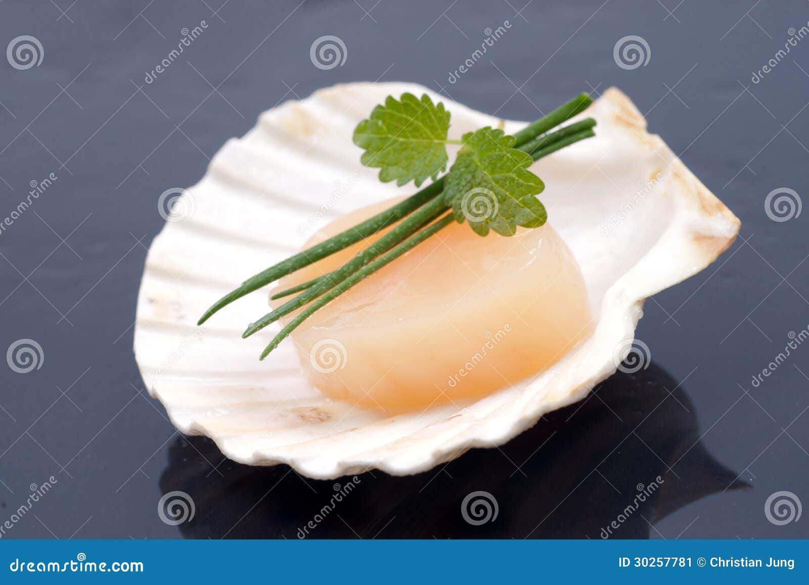 Fresh scallop stock image. Image of seafood, color, shellacean - 30257781