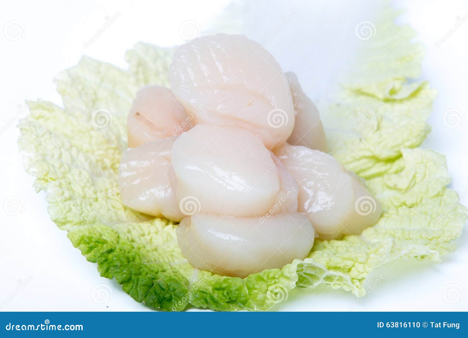 Fresh scallops stock photo. Image of refreshment, isolated - 63816110