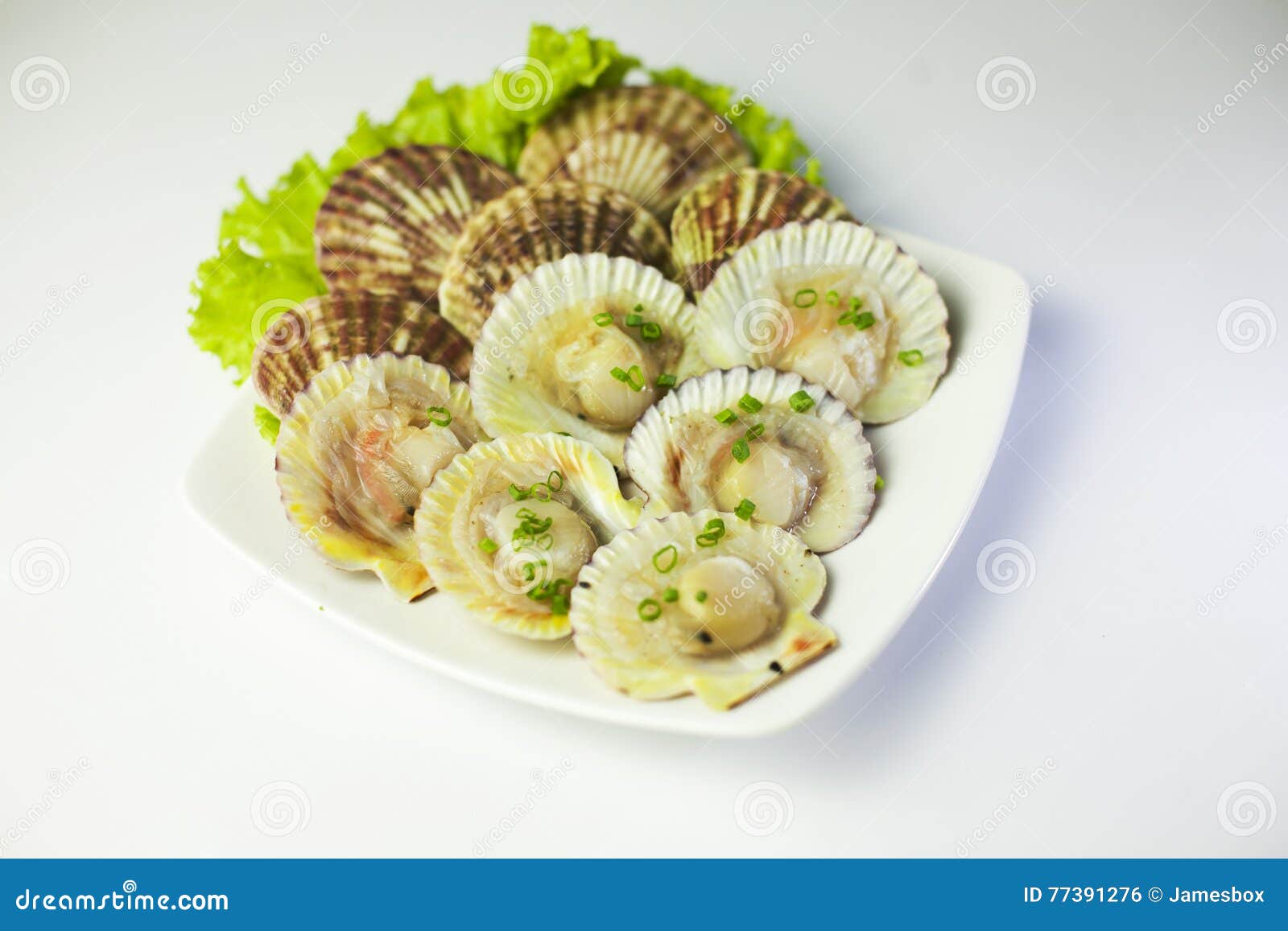 Fresh Scallops Shell with Lettuce on White Plate Stock Photo - Image of ...