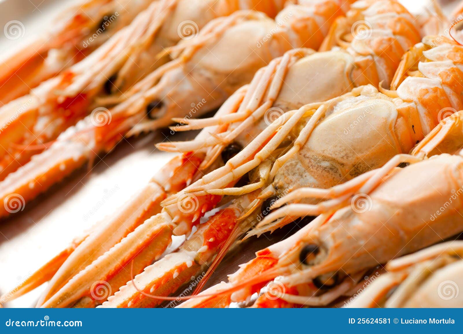 Fresh Scampi stock image. Image of cutting, diet, dublin - 25624581