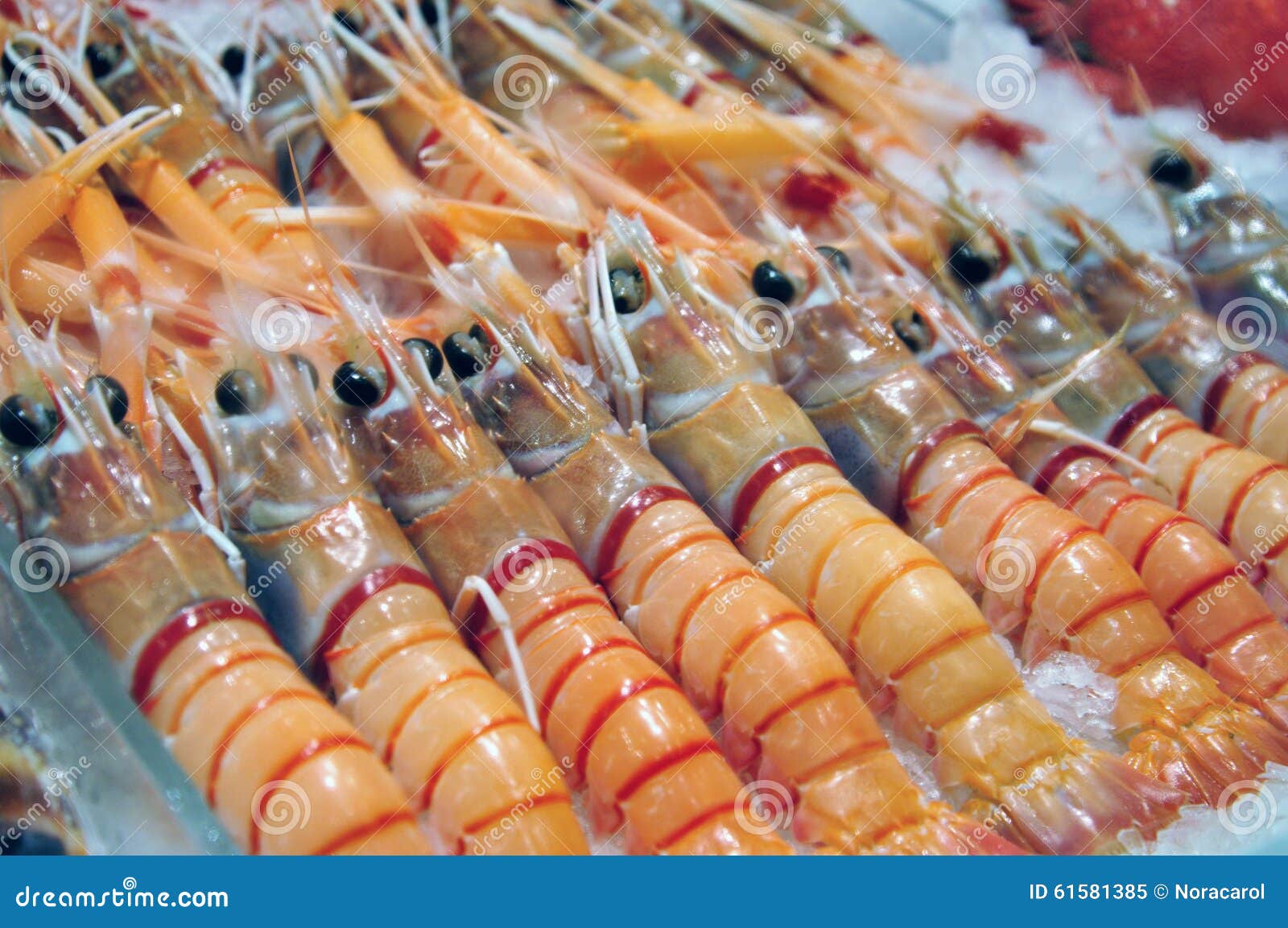 Fresh scampi stock image. Image of cuisine, shellfish - 61581385