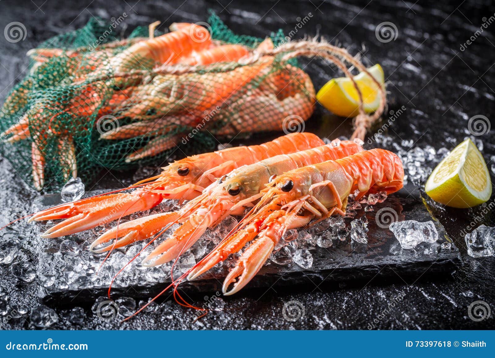 Fresh scampi on ice stock photo. Image of langoustines - 73397618