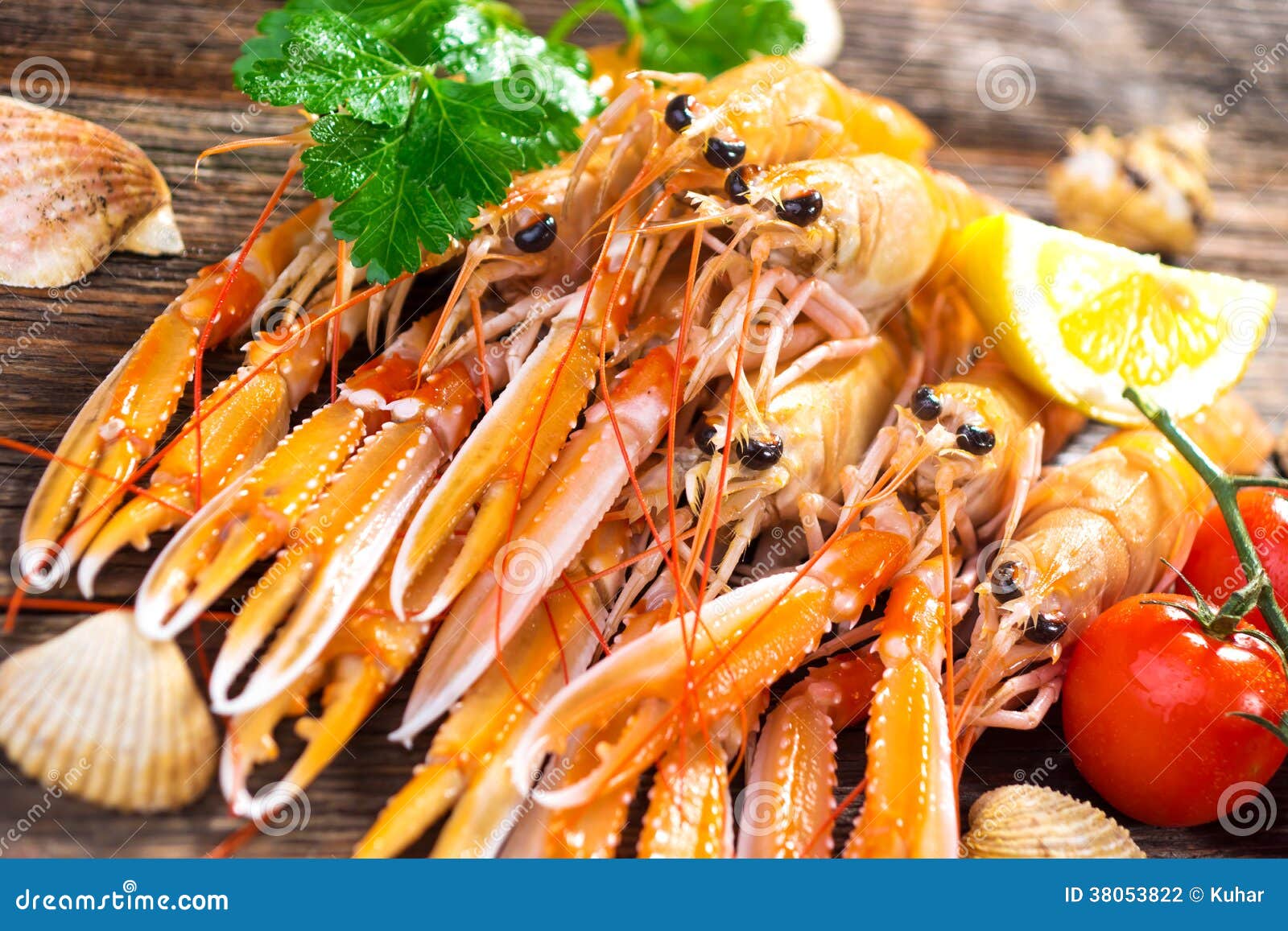 Fresh Scampi / Nephrops Norvegicus Stock Photo - Image of collection ...