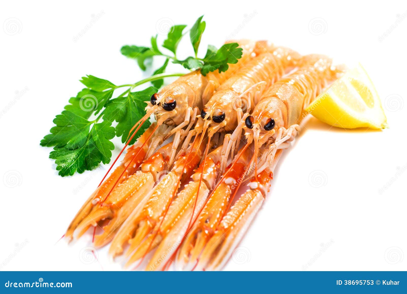 Raw Nephrops Norvegicus, Norway Lobster, Dublin Bay Prawn, Langoustine ...