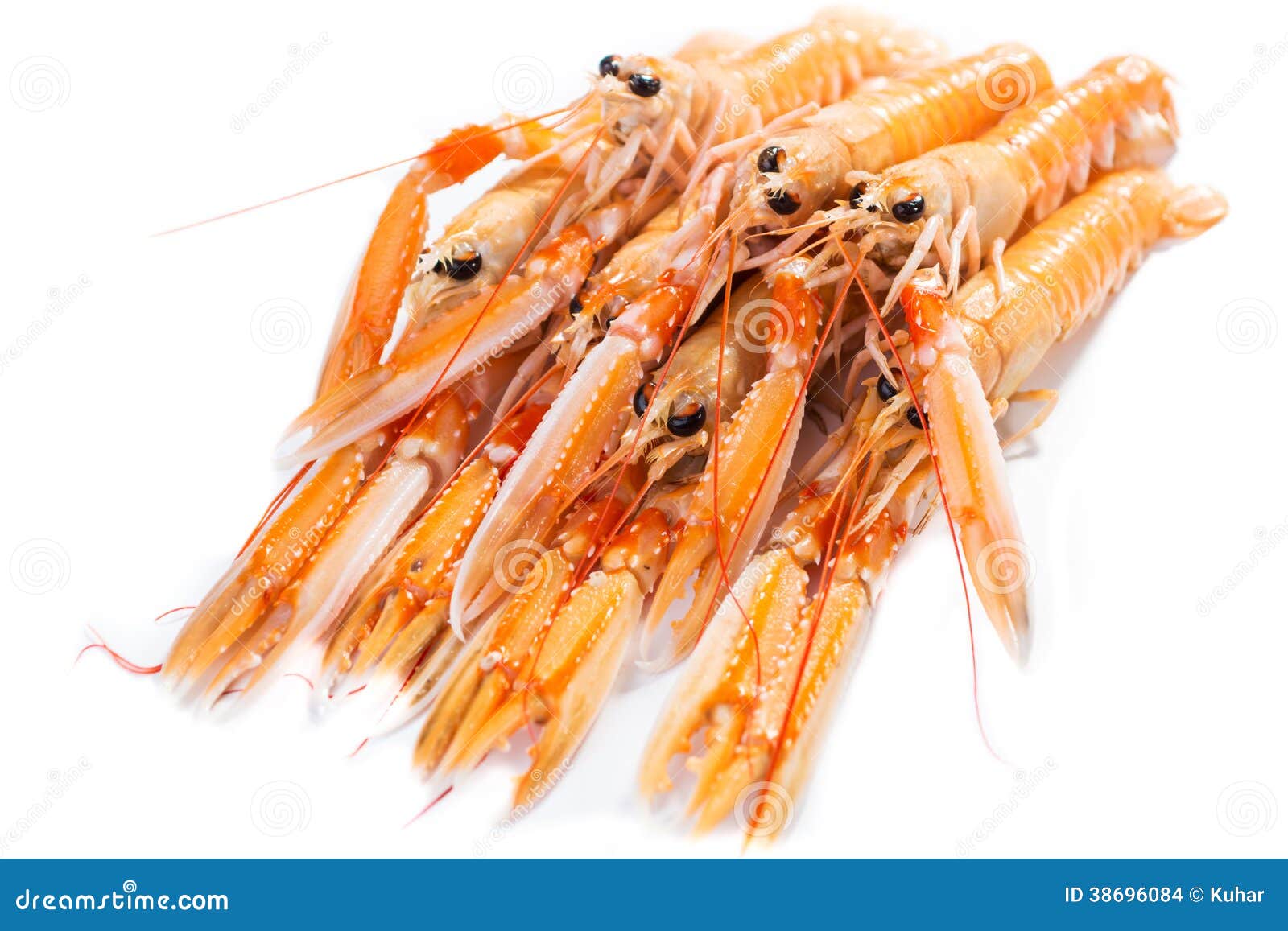 Scampi Or Nephrops Norvegicus On Ice In Fish Shop. Royalty-Free Stock ...