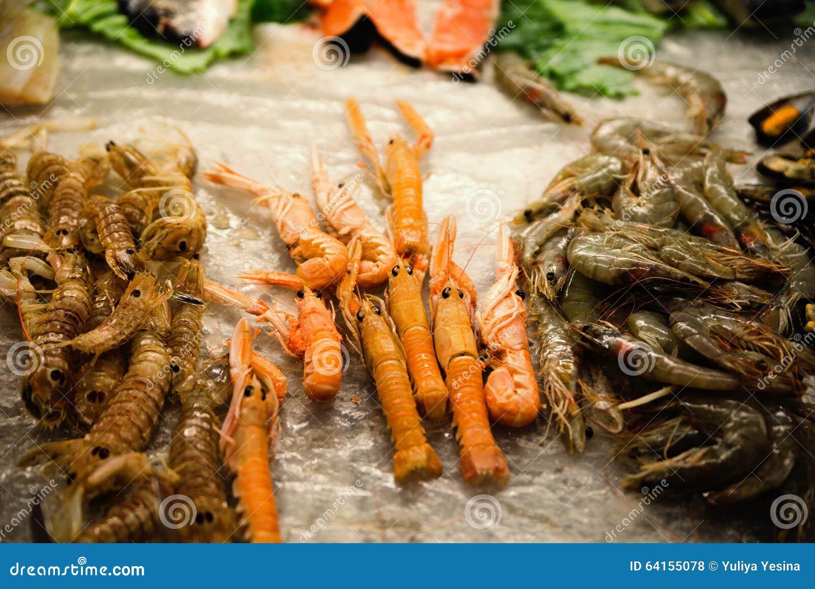 Fresh scampi stock photo. Image of food, shellfish, prepared - 64155078