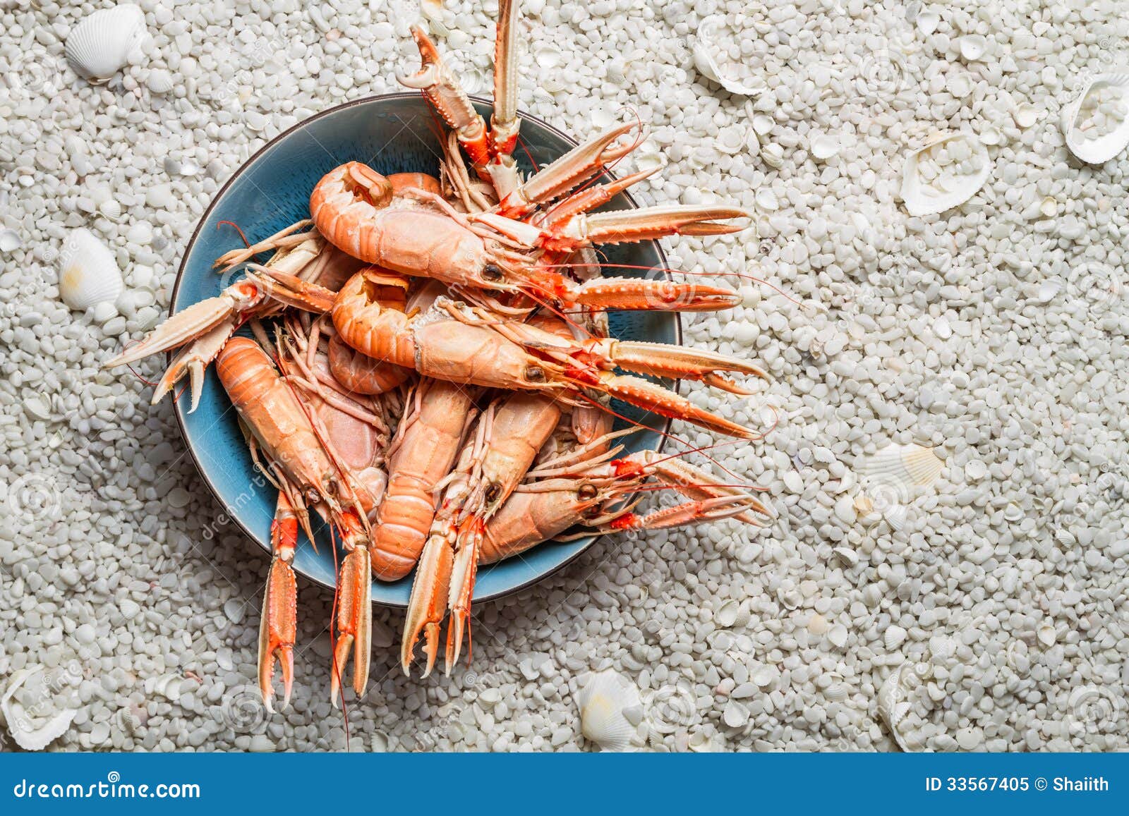 Fresh Scampi Served on the Beach in a Blue Bowl Stock Image - Image of ...