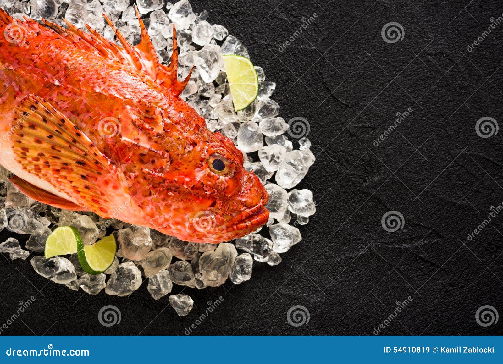 Fresh Scorpion Fish on Ice on a Black Stone Table Stock Image - Image ...