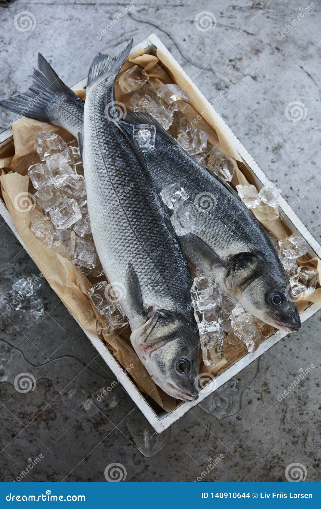 Fresh sea bass stock photo. Image of mediterrenean, natural - 140910644