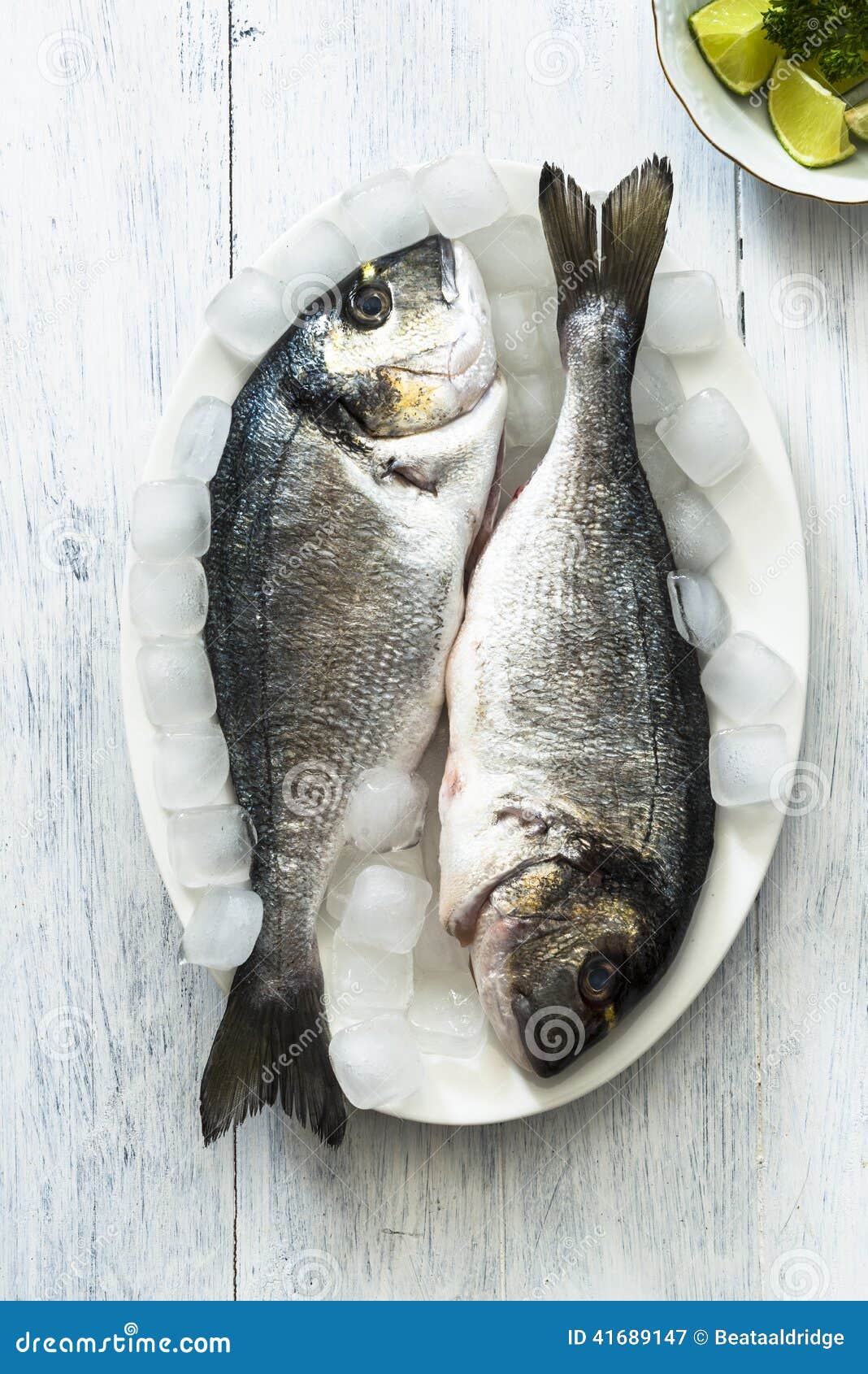 Fresh sea bream on ice stock image. Image of goldbrass - 41689147