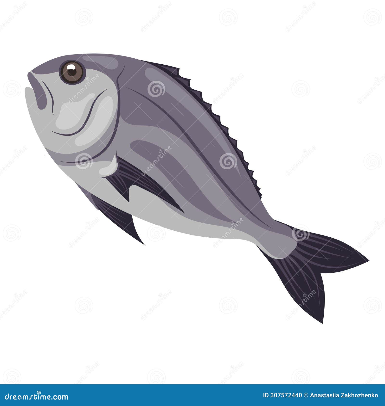 Fresh Sea Dorado Fish, Fresh Seafood. Stock Vector - Illustration of ...