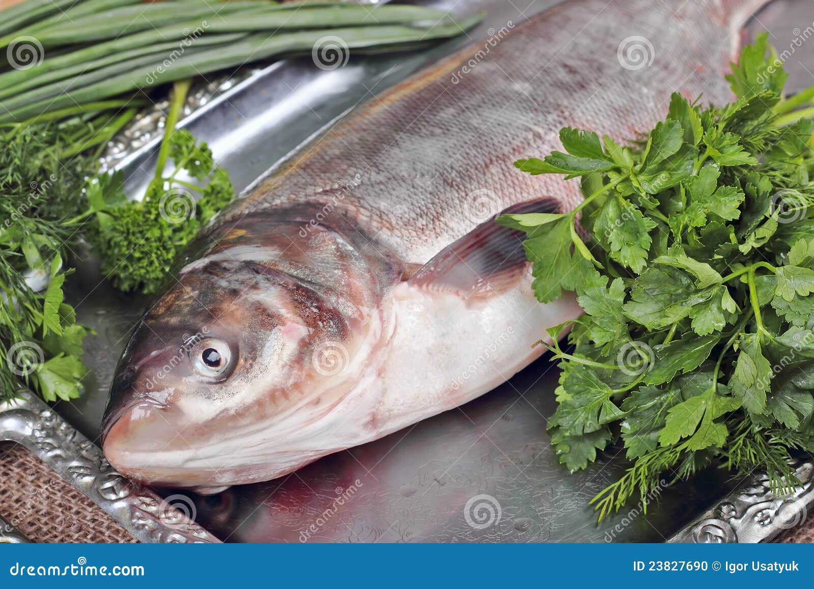 Fresh sea fish stock photo. Image of healthy, onion, olive - 23827690