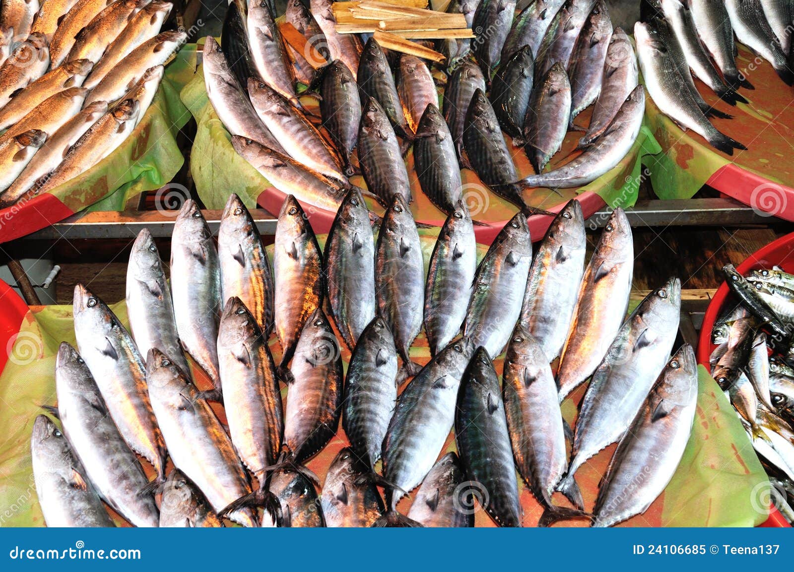 Fresh sea fish stock image. Image of eating, cooking - 24106685